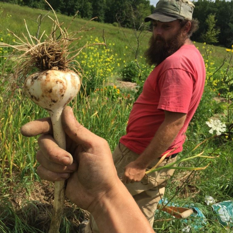 Red Beet Row – Agroecology Education Farm